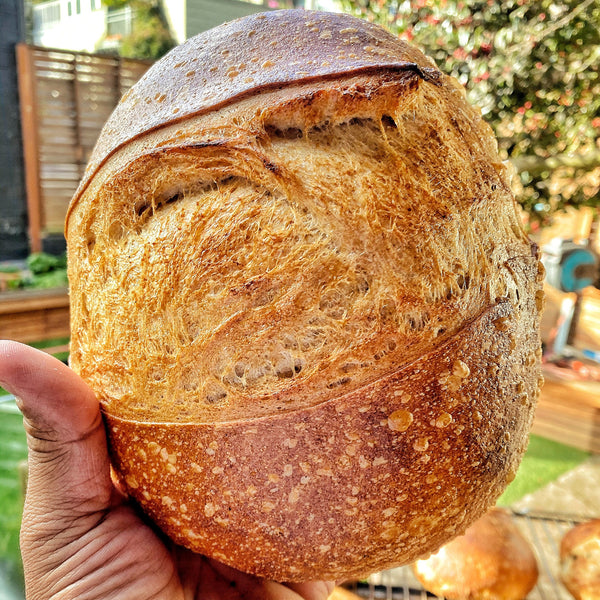 PAY IT FORWARD // OG LOAF - Rize Up Bakery LLC