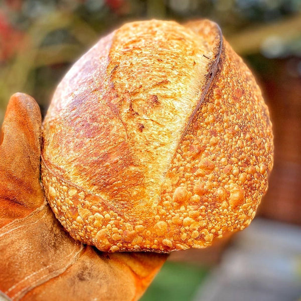 PAY IT FORWARD // OG LOAF - Rize Up Bakery LLC