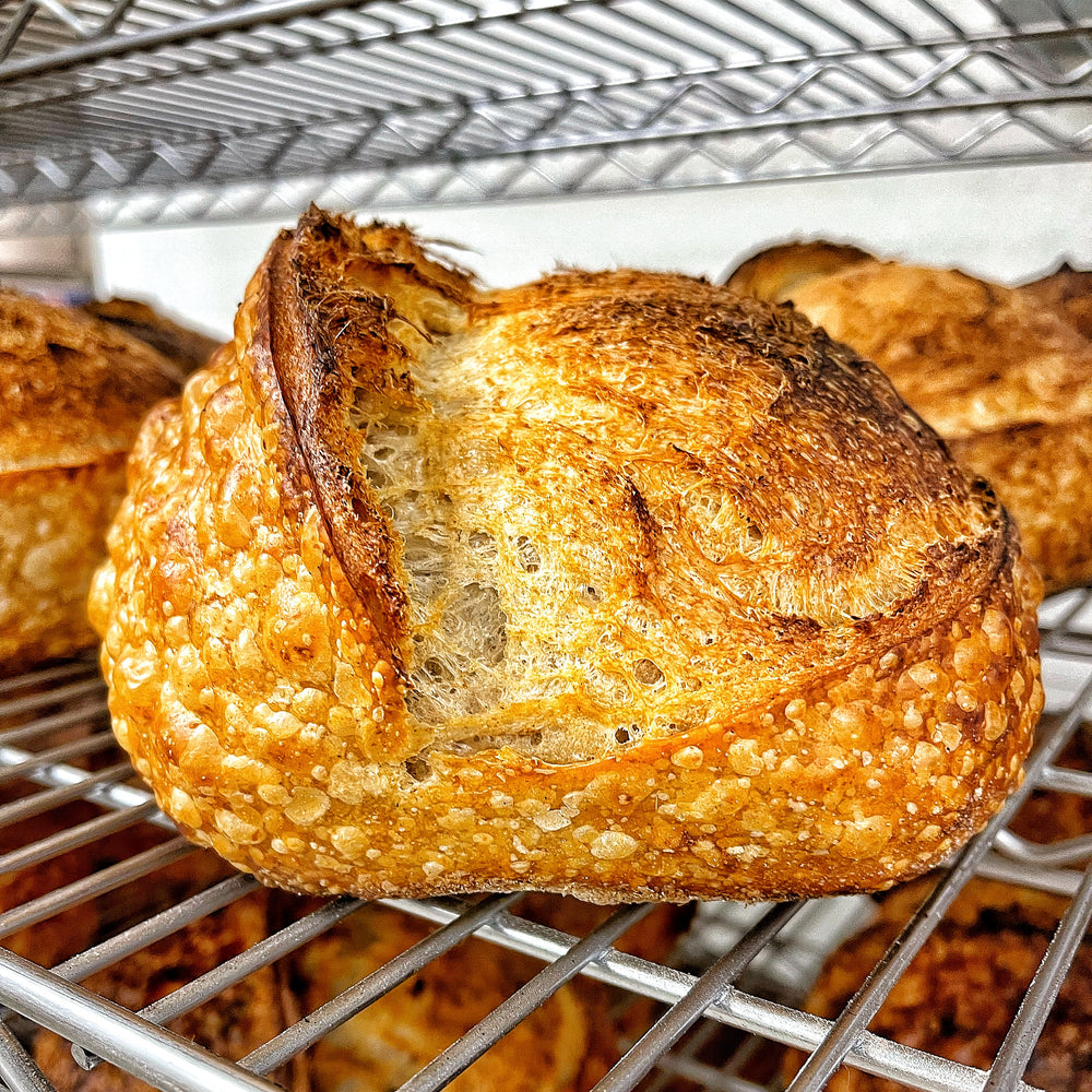 All Loaves - Rize Up Bakery LLC