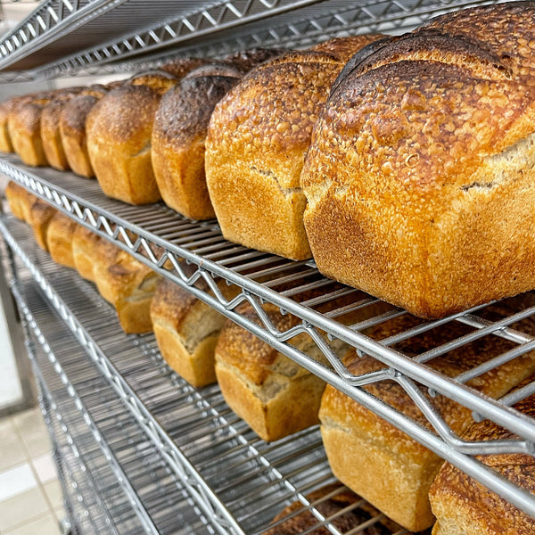 Rooted // Country Pan Loaf - Rize Up Bakery LLC